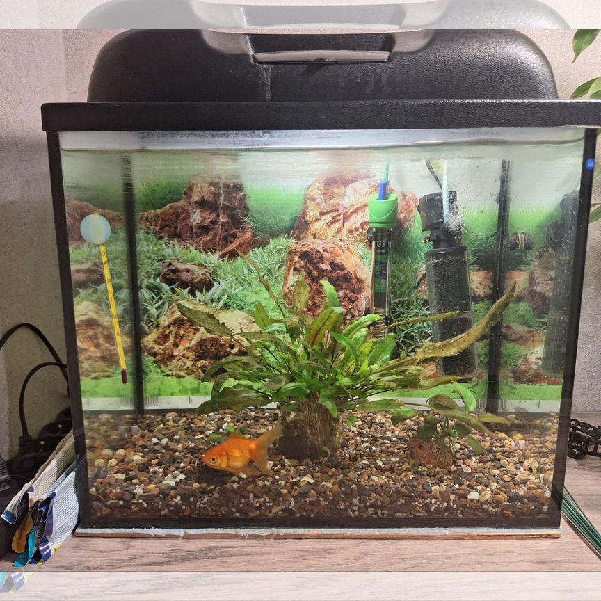 Аквариум с рыбками 35л