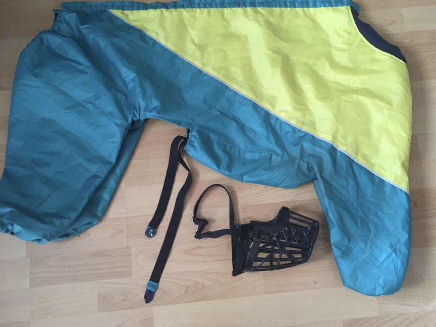 Костюм дождевик для собаки + намордник