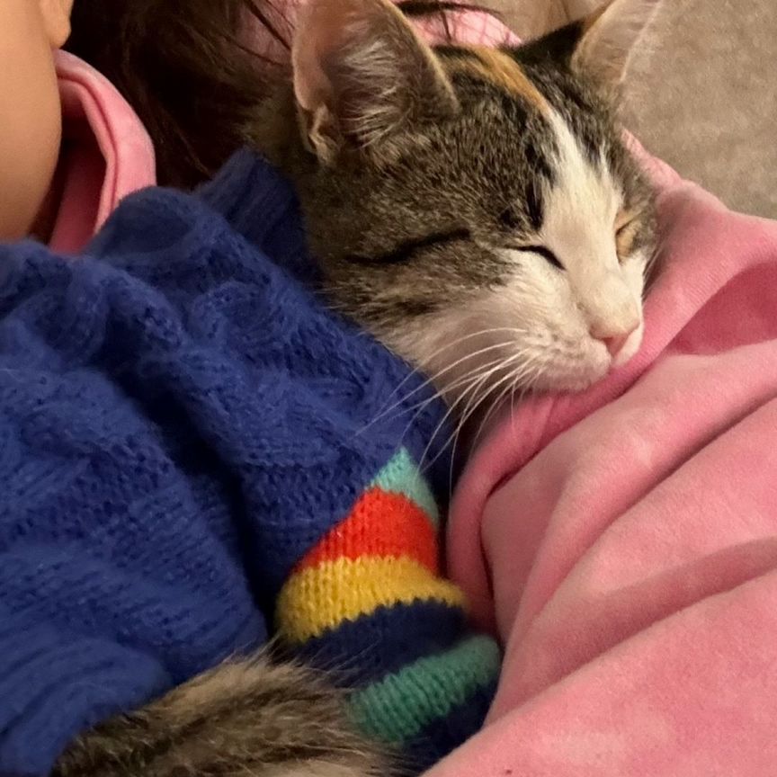 В самые добрые руки