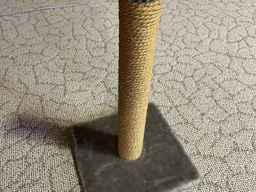 Когтеточка