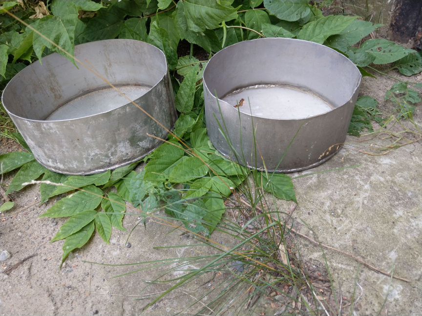 Кормушка для собак