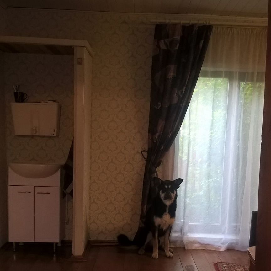 Лайка, вязка