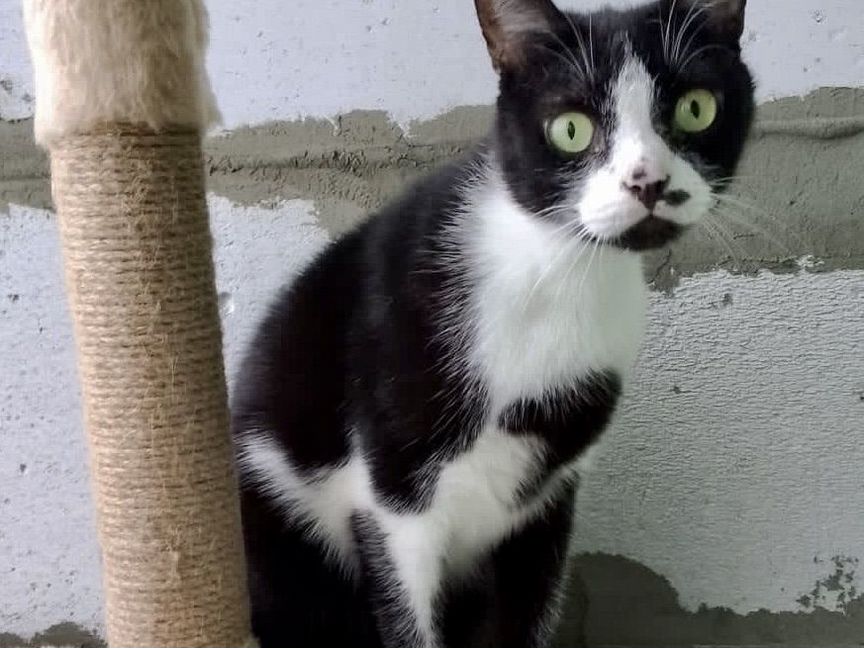 Подарите дом