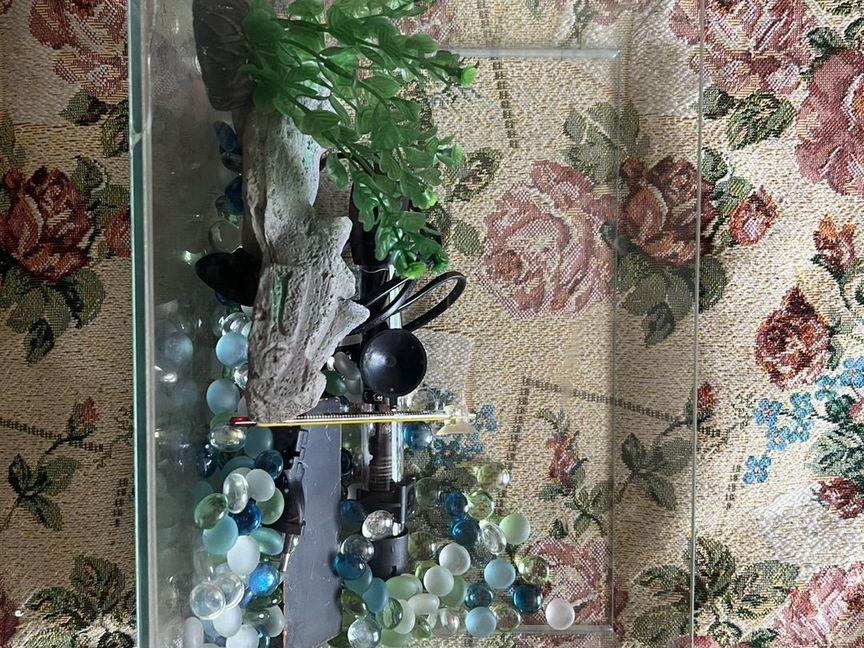 Аквариум нагреватель градусник декор