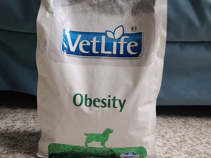 Корм для собак