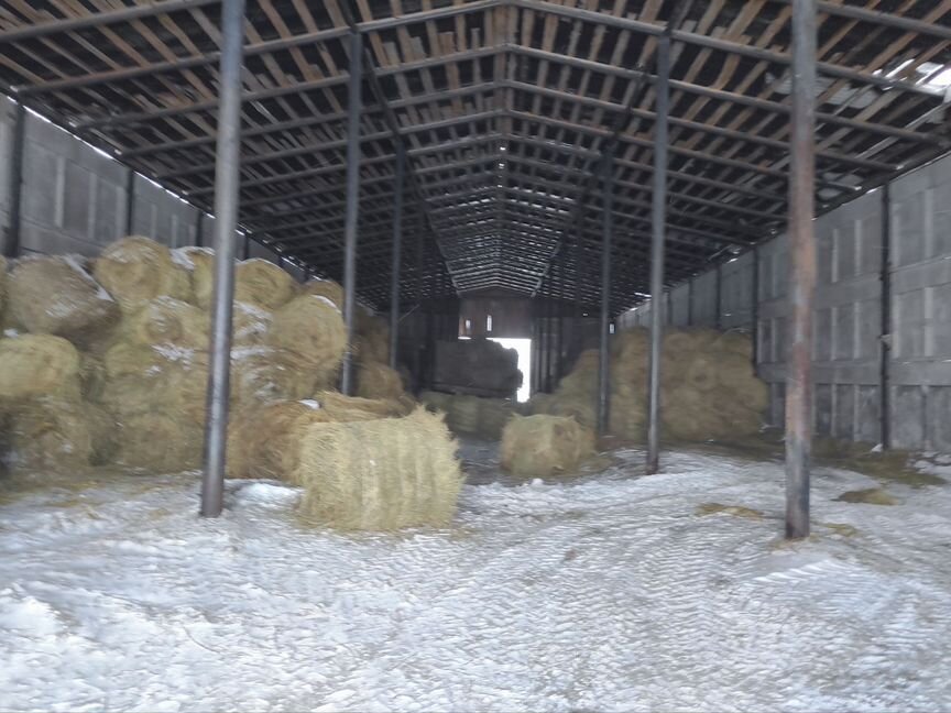 Сено в рулонах Ангарное хранение