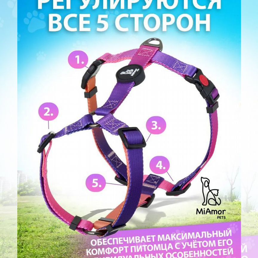 Амуниция для собак