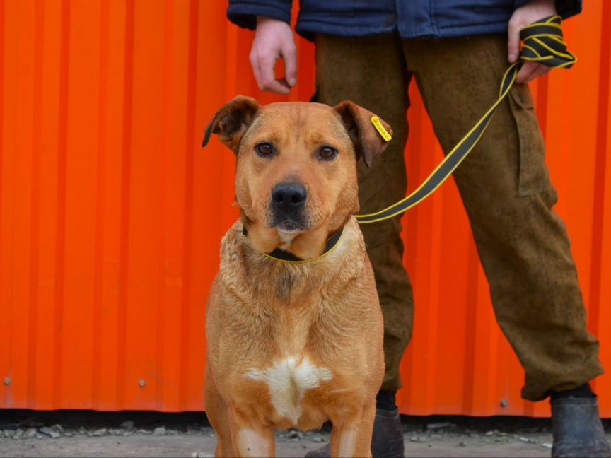 Лена в поисках семьи