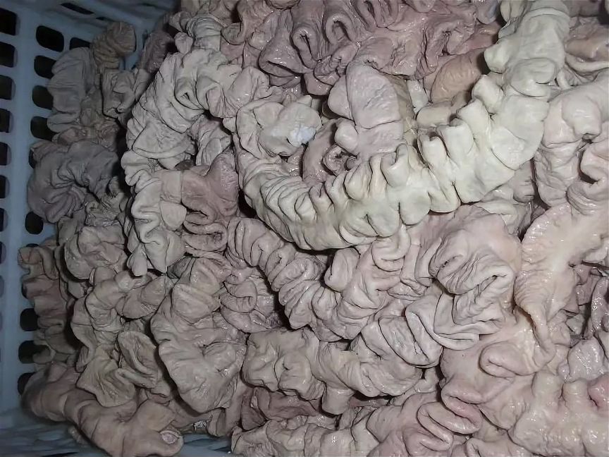 Кишки говяжьи в мешках