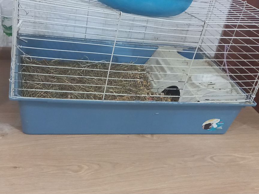 Клетка для шиншилл