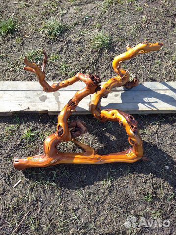Коряга из виноградной лозы купить в Севастополе | Животные и зоотовары ...