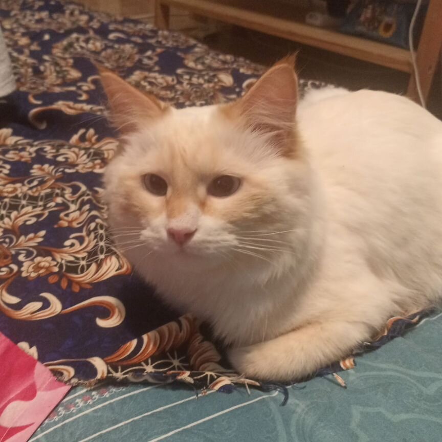 Турецкая ванна