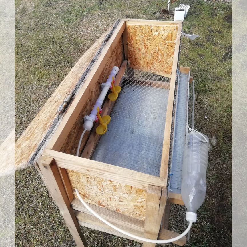 Клетки для перепелов бу