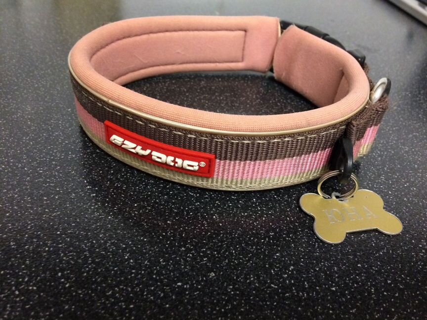 Ошейник EZY DOG