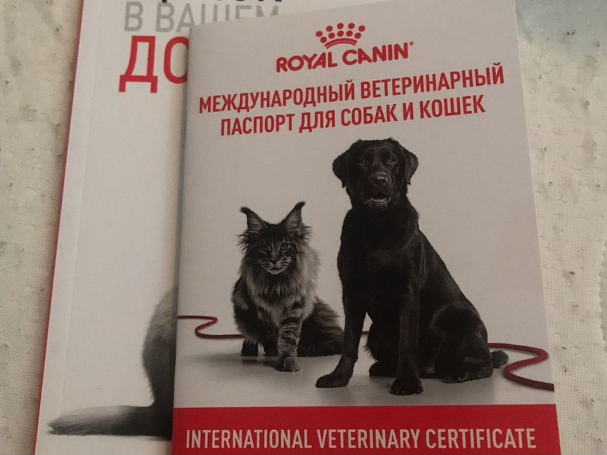 Паспорт для собак и кошек