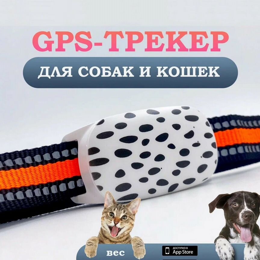 4G GPS трекер для собак и кошек, с ошейником, акку