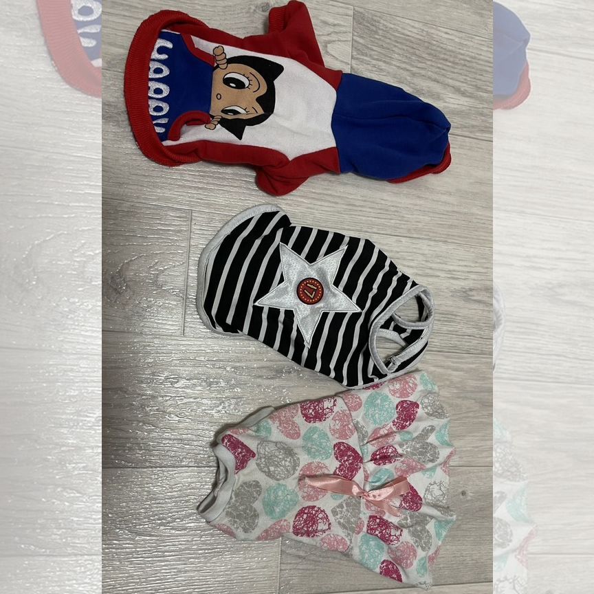 Одежда для маленьких пород собак