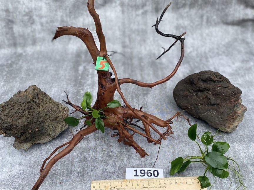 Коряги для аквариума