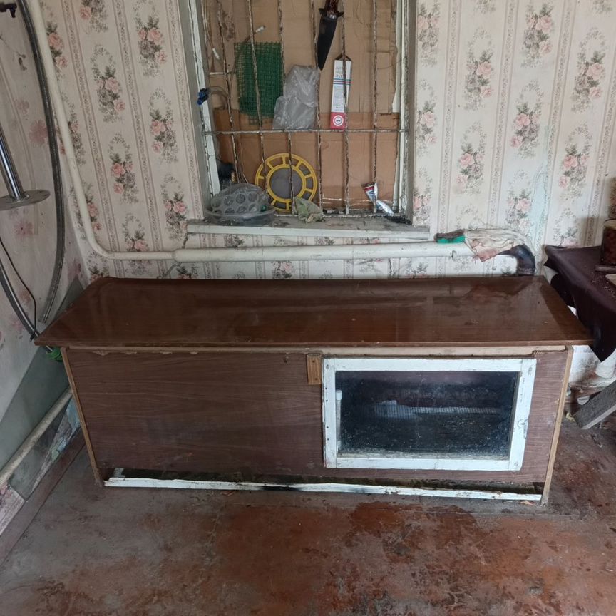 Брудер для цыплят