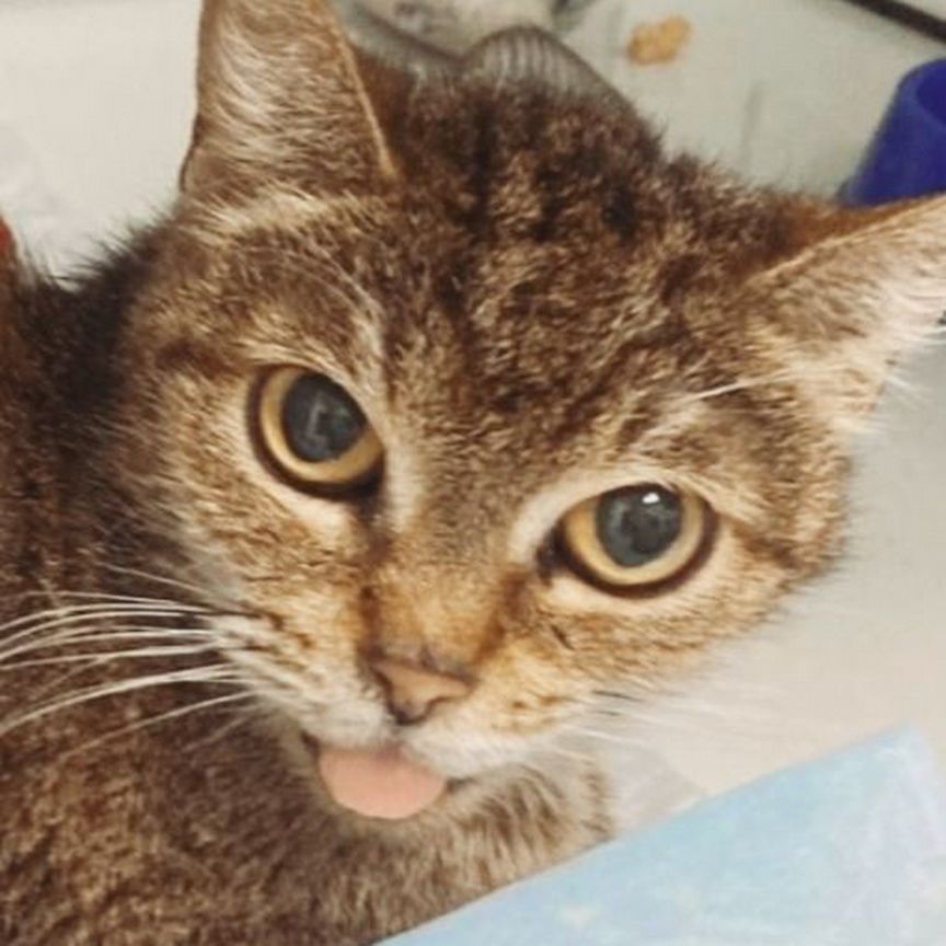 Малышка, 2 годика