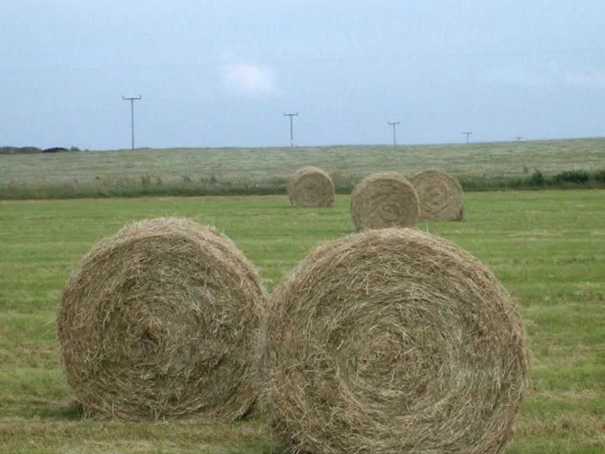 Сено в рулонах