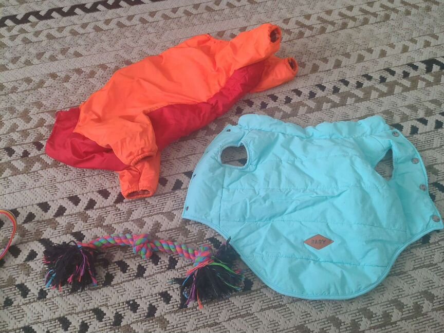 Одежда для собак