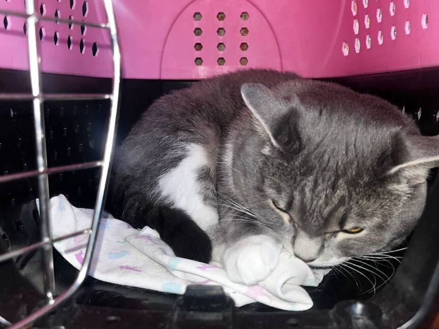 Мусю выставили с паспортом в подъезд