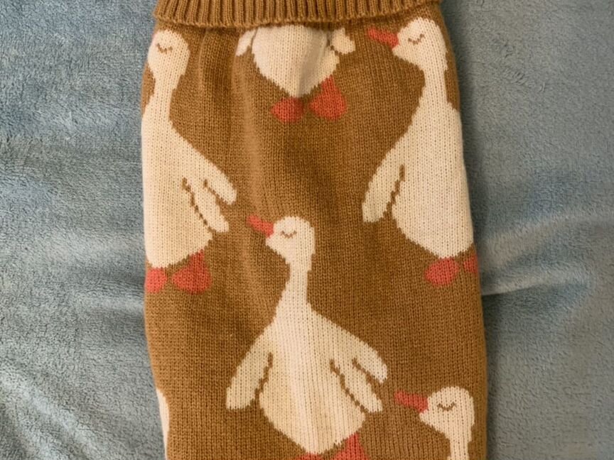 Свитер для животных