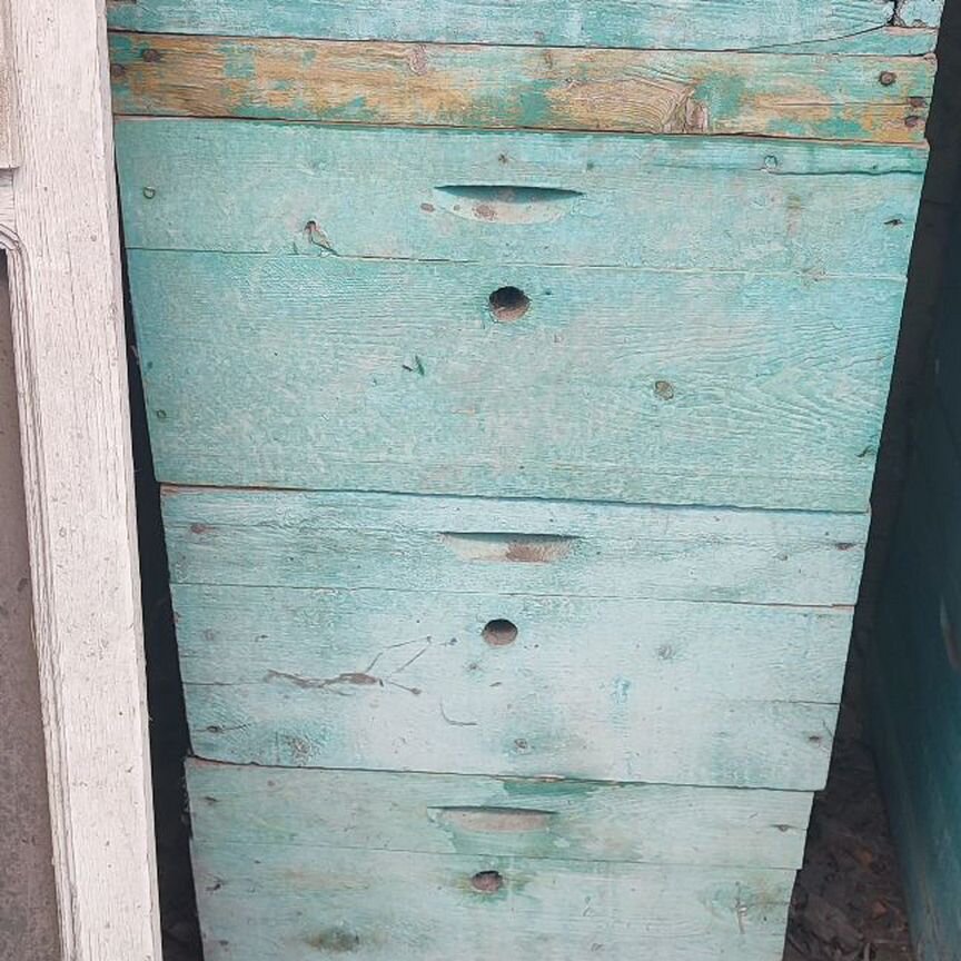 Улики для пчел