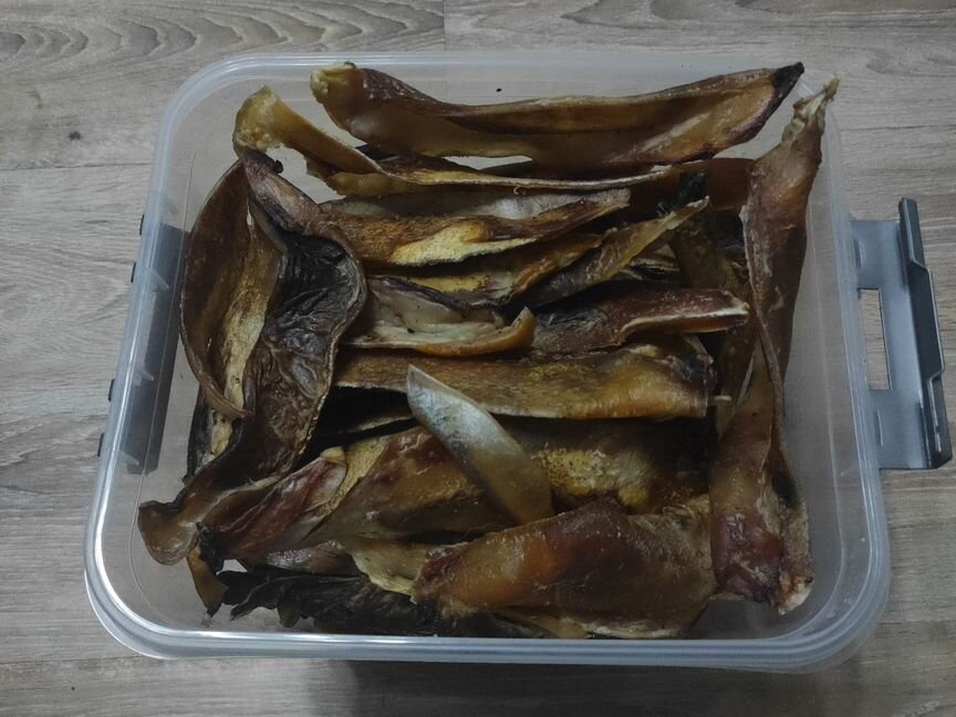 Хрящ лопаточный