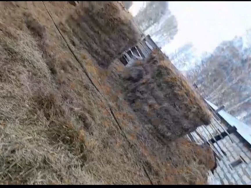 Продам сено,солому