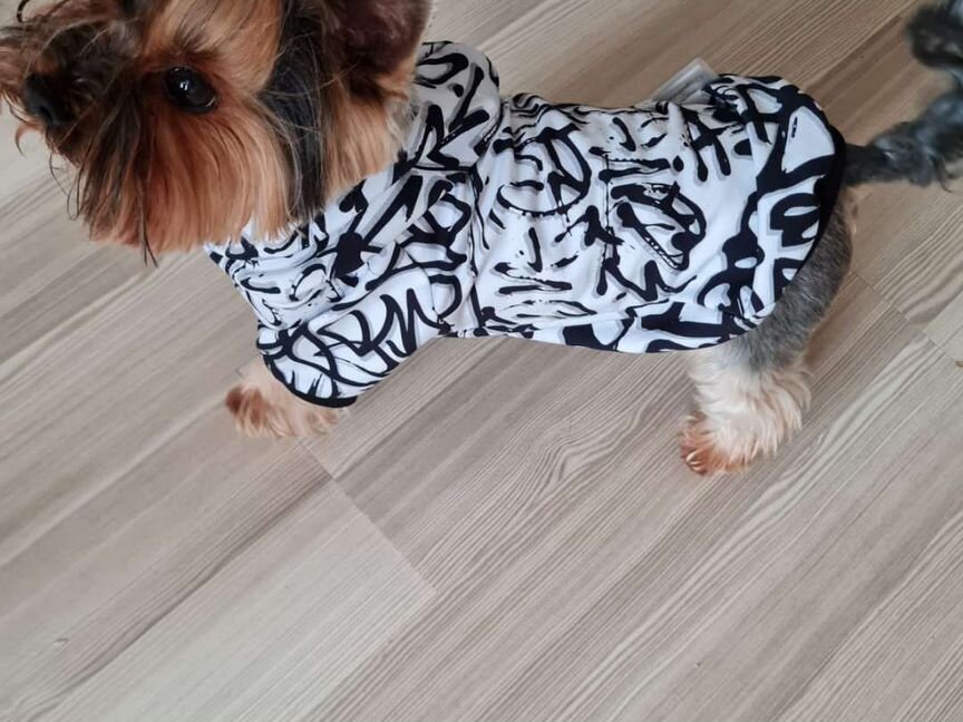 Одежда для собак