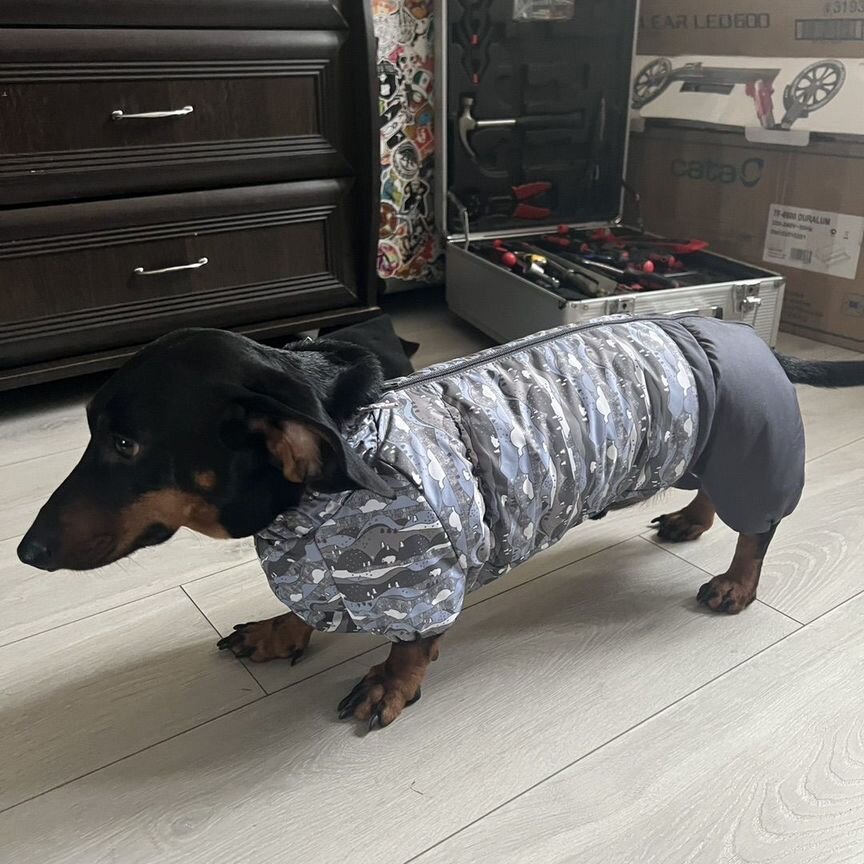 Зимний комбез на таксу