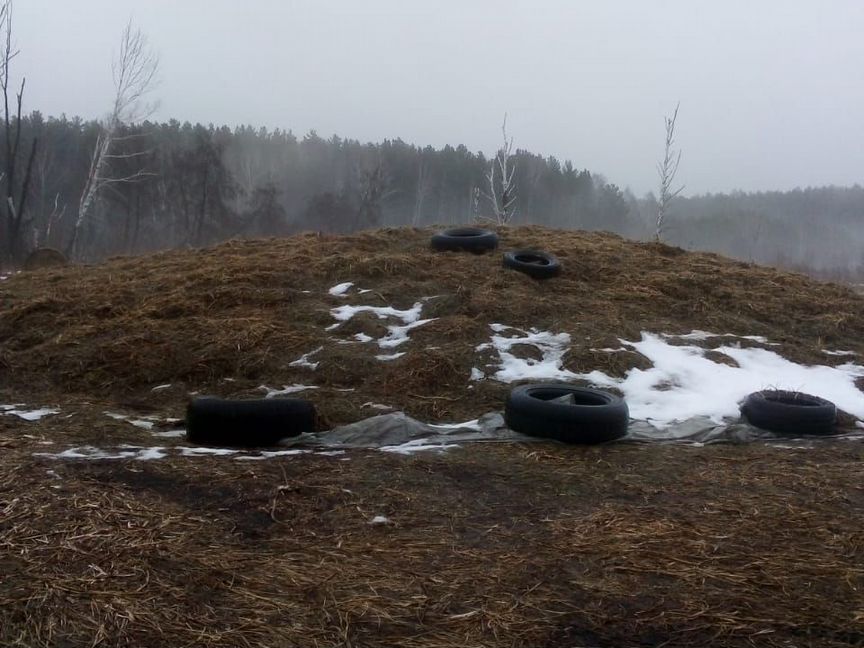 Продам сенаж