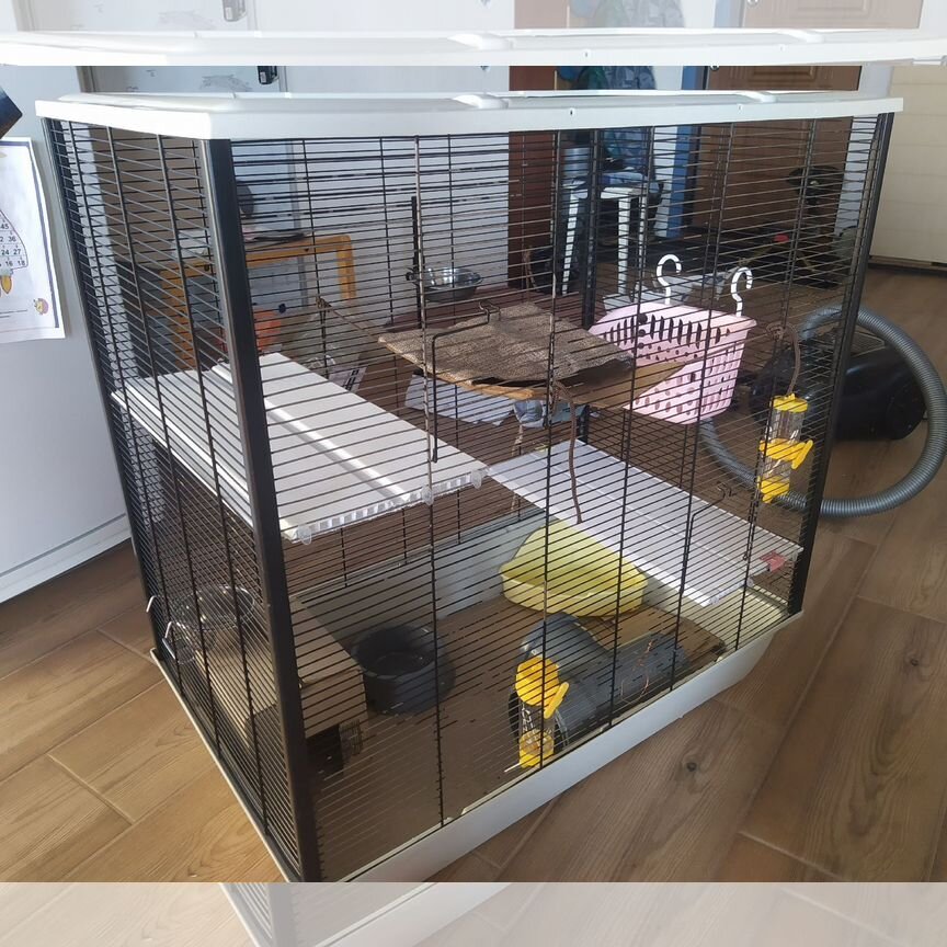 Клетка и наполнение для крыс