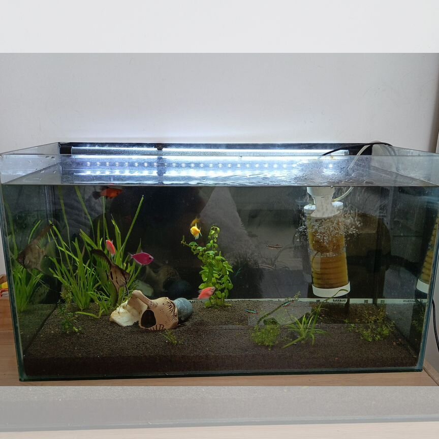 Аквариум 60 л