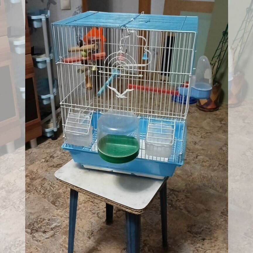 Клетка для попугая