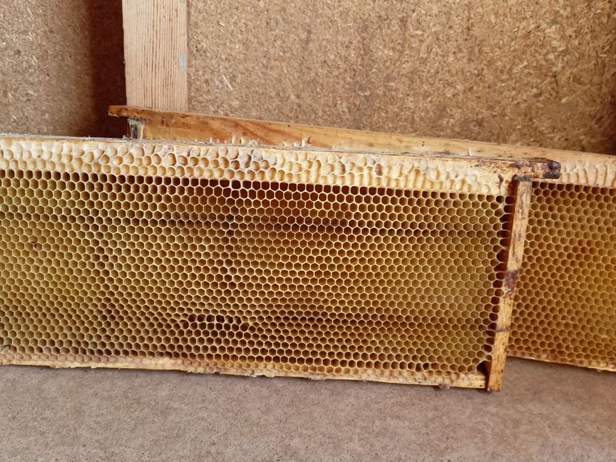 Ульи, сушь для пчел