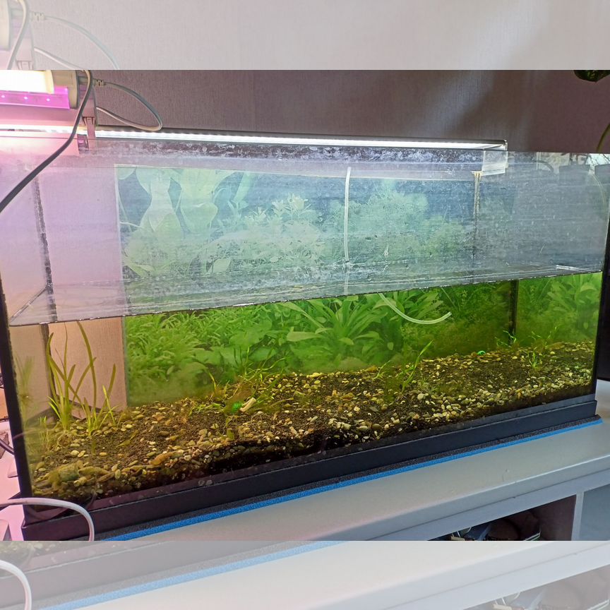 Аквариум Eheim 96л