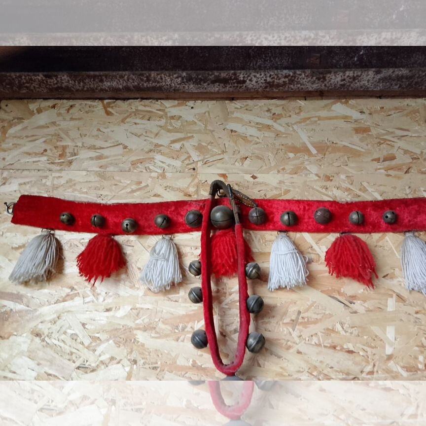 Ошейник и нагрудник для лошади