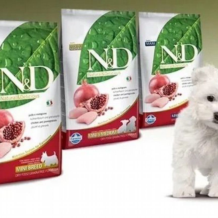 Корм для собак