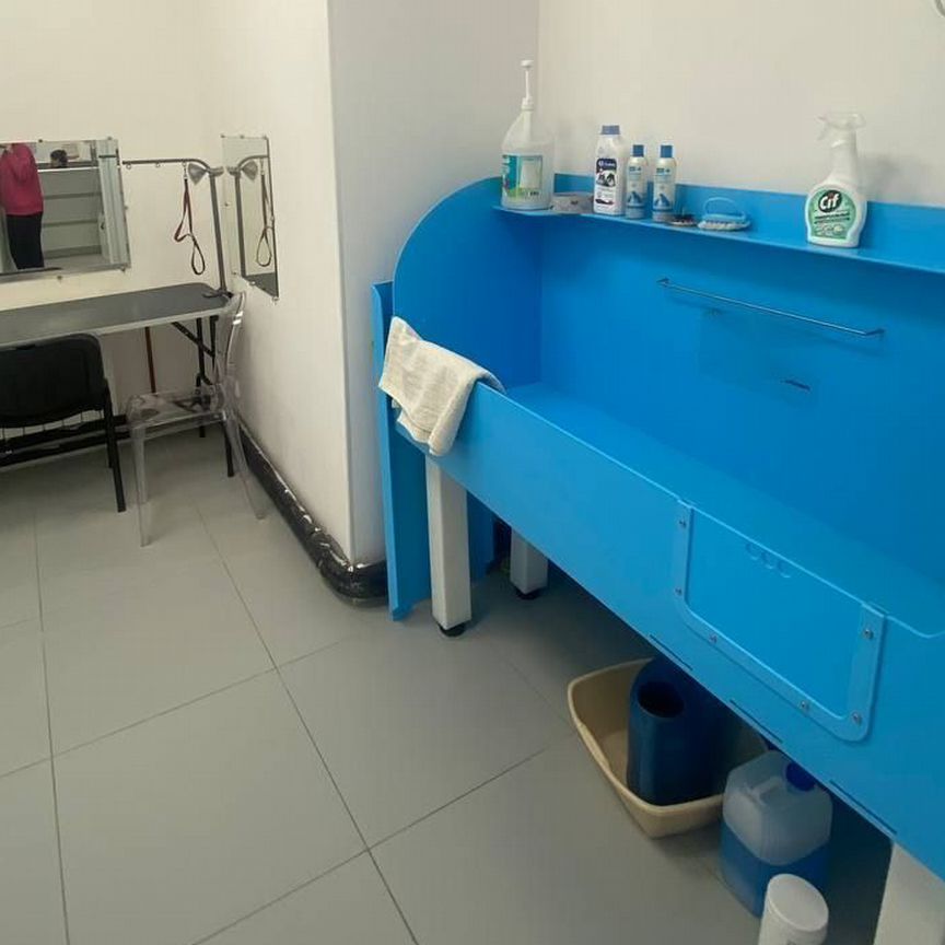 Аренда груминг кабинета