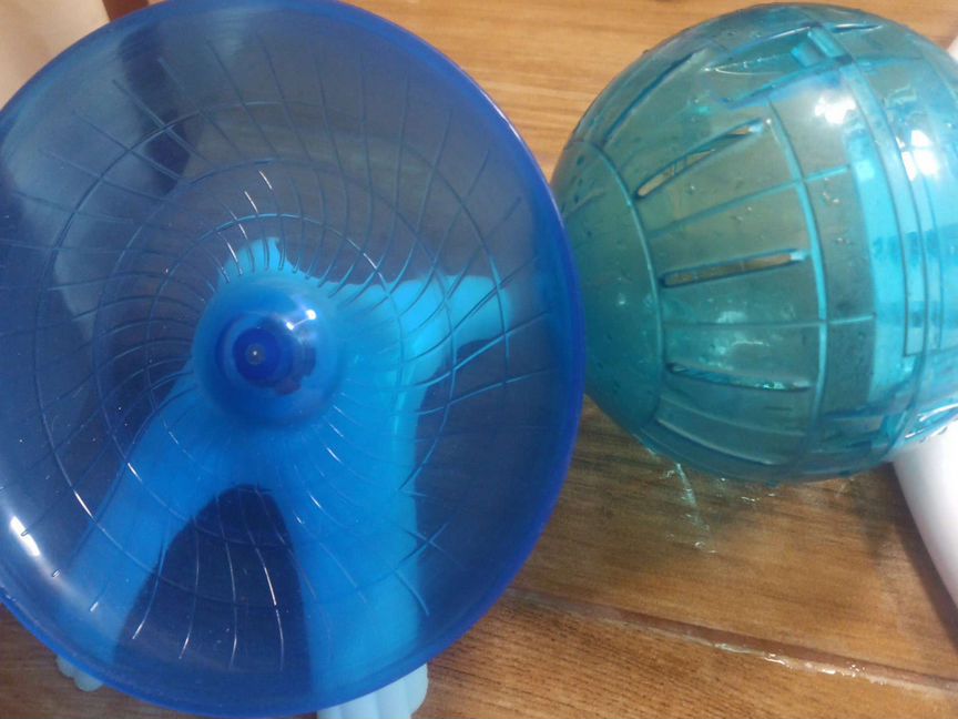 Шар для хомяка и тарелка