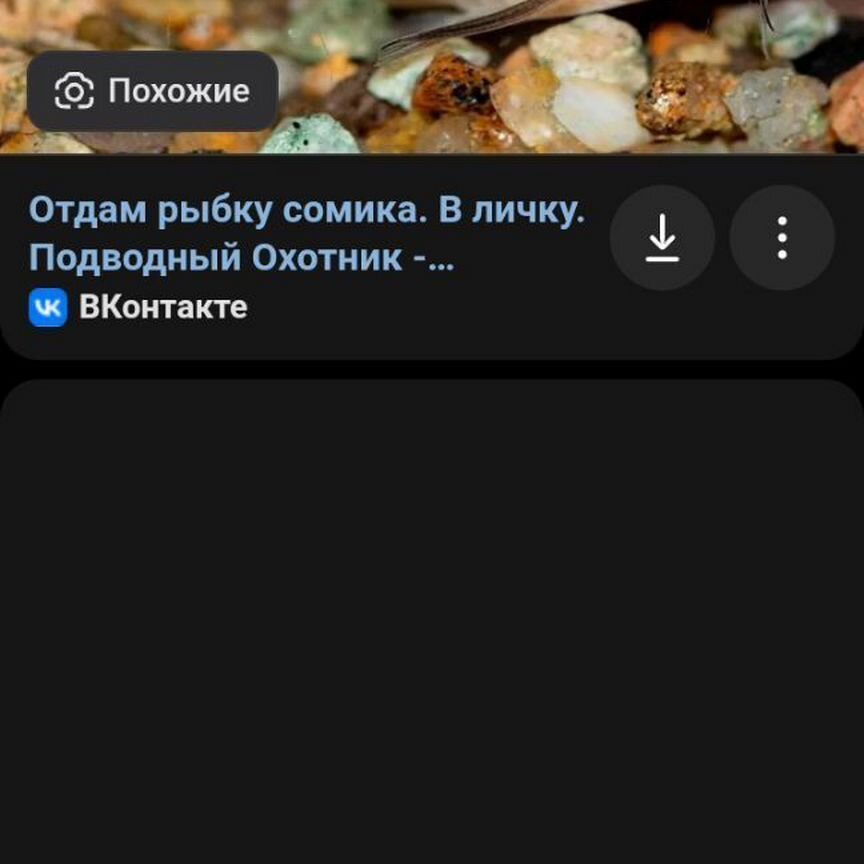 Продам рыбок разных видов