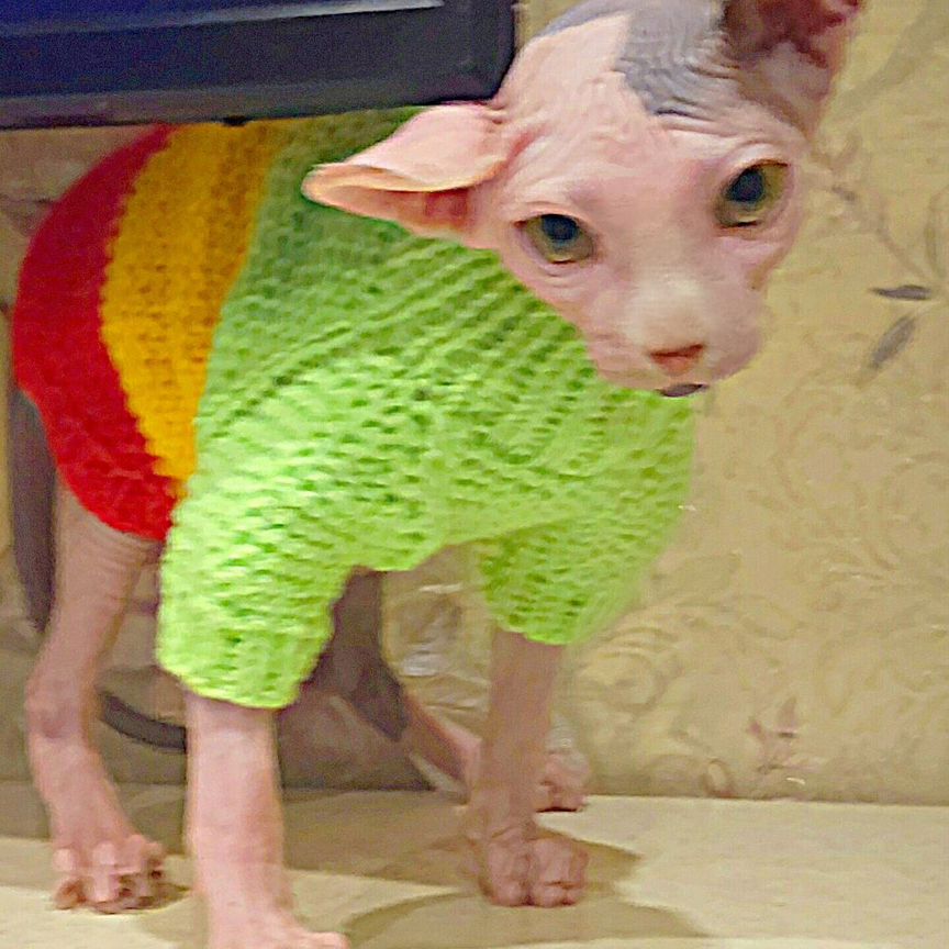 Которебенок мальчишка эльф