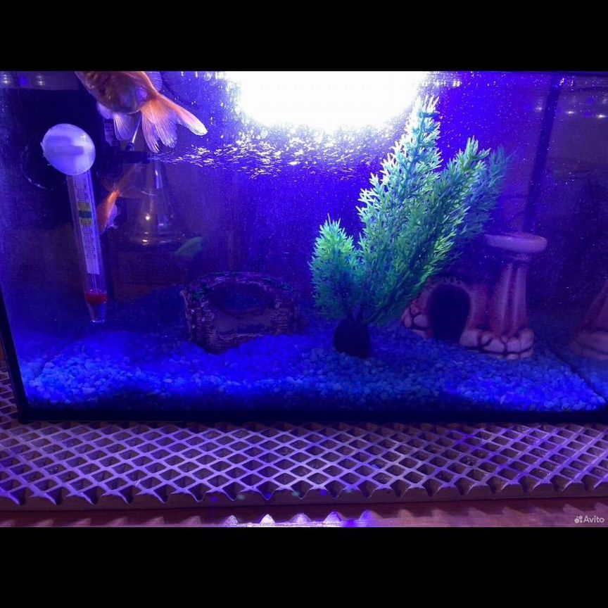 Аквариум 20л