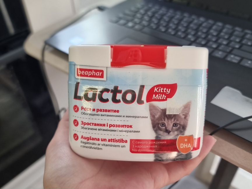 Молочная смесь для новорожденных котят
