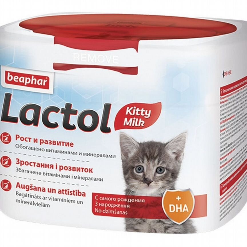 Сухое молоко для котят
