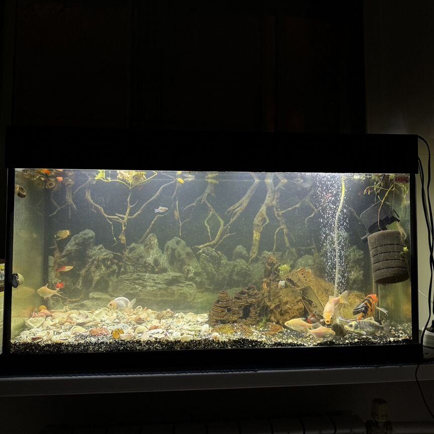 Аквариум 200 л со всем содержимым