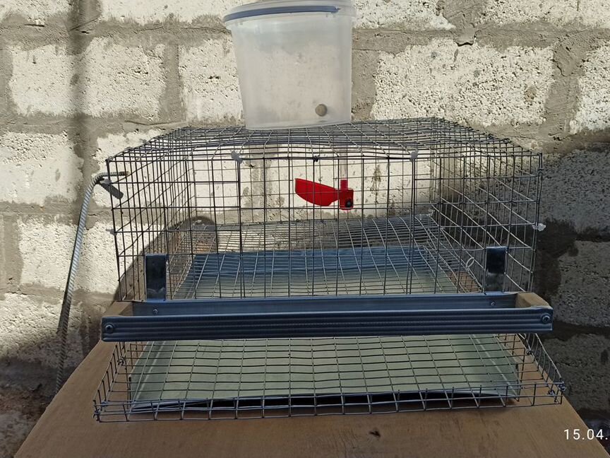 Клетка для перепелов